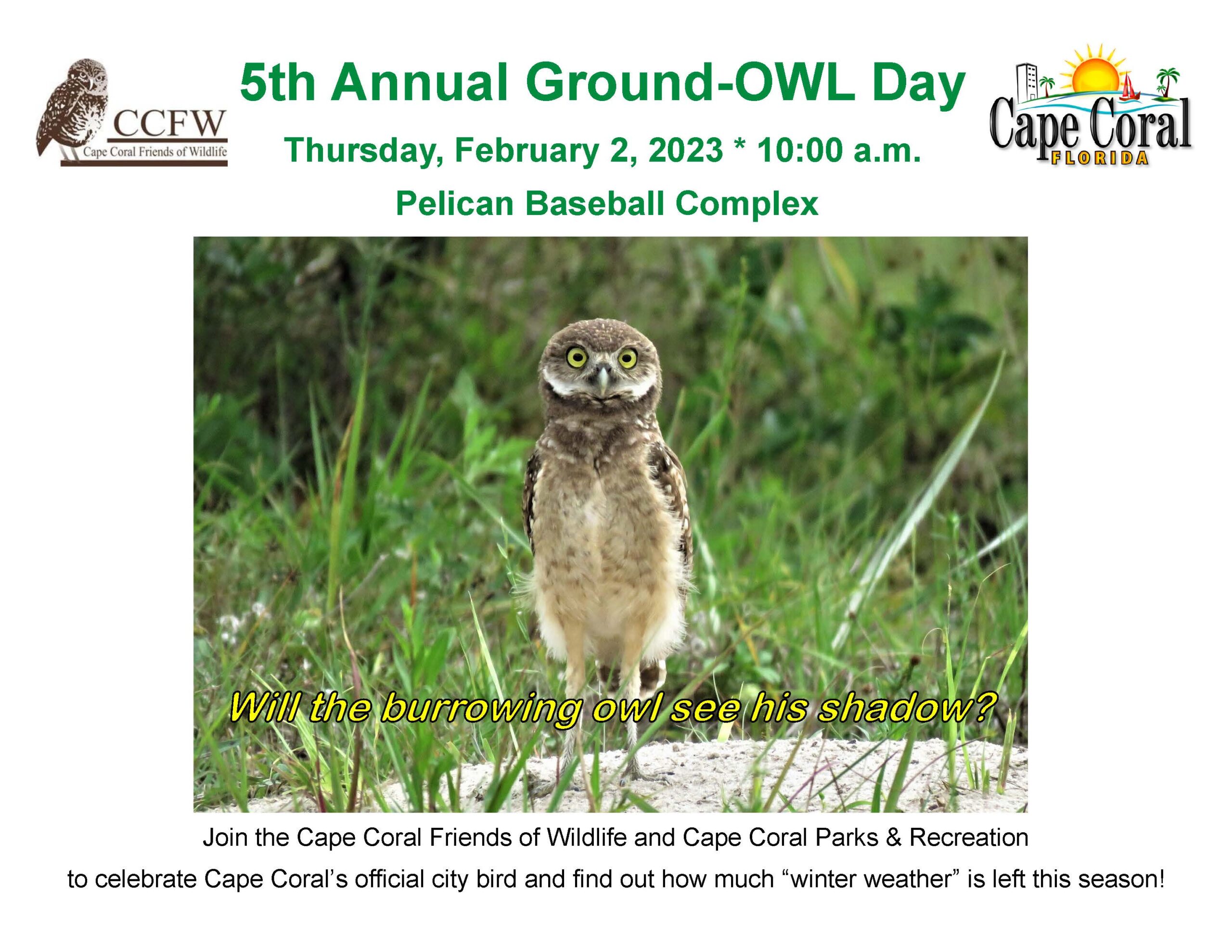 Self Control Owl Meme