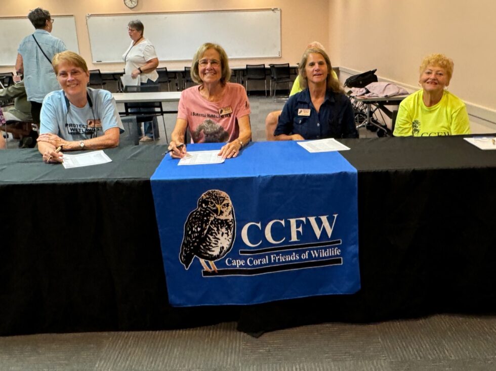 City Council Candidate Forum | Cape Coral Friends of Wildlife